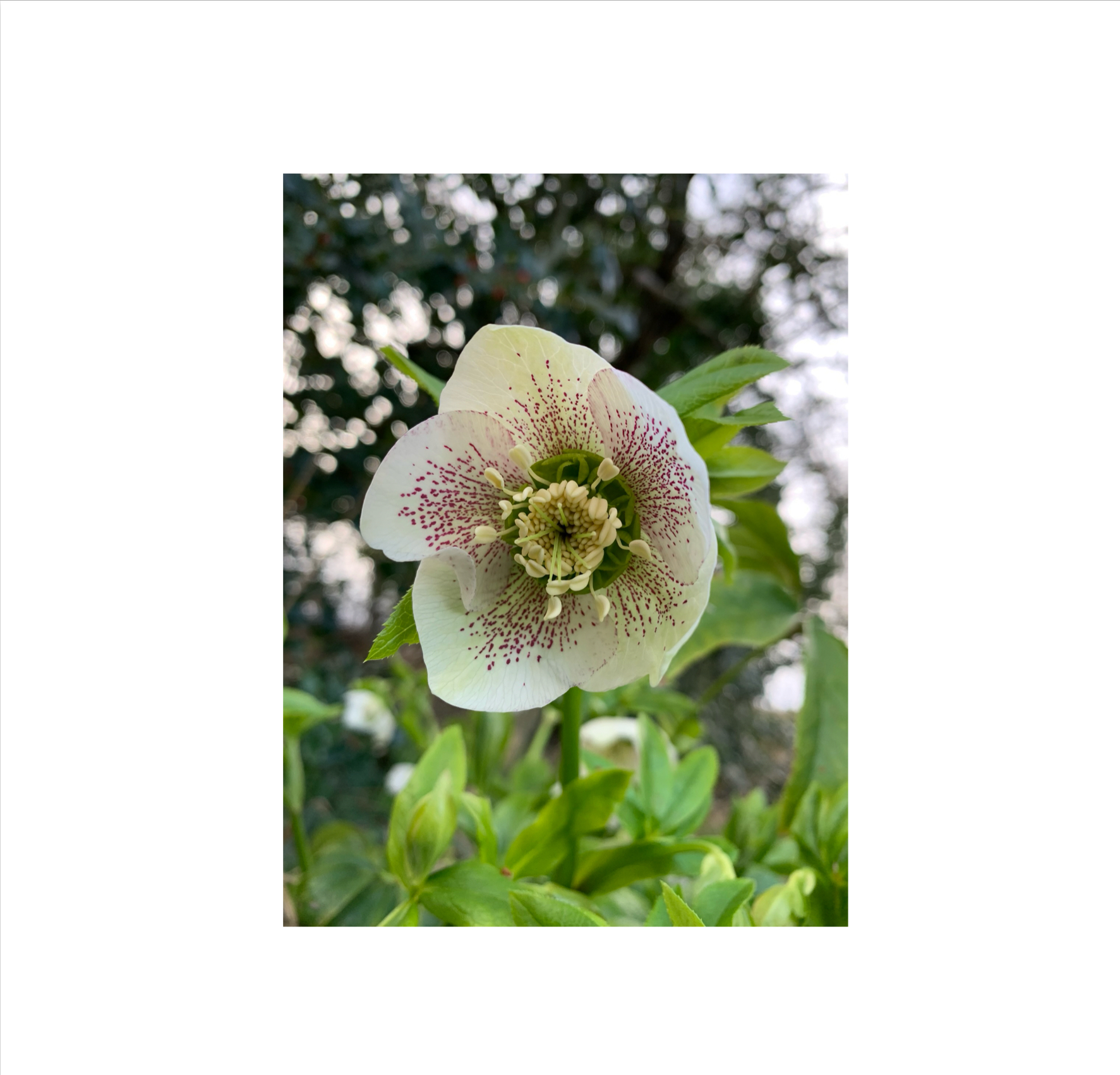 Homélie du pasteur Claude Fuchs, le 25 février 2024 | Communauté de ...